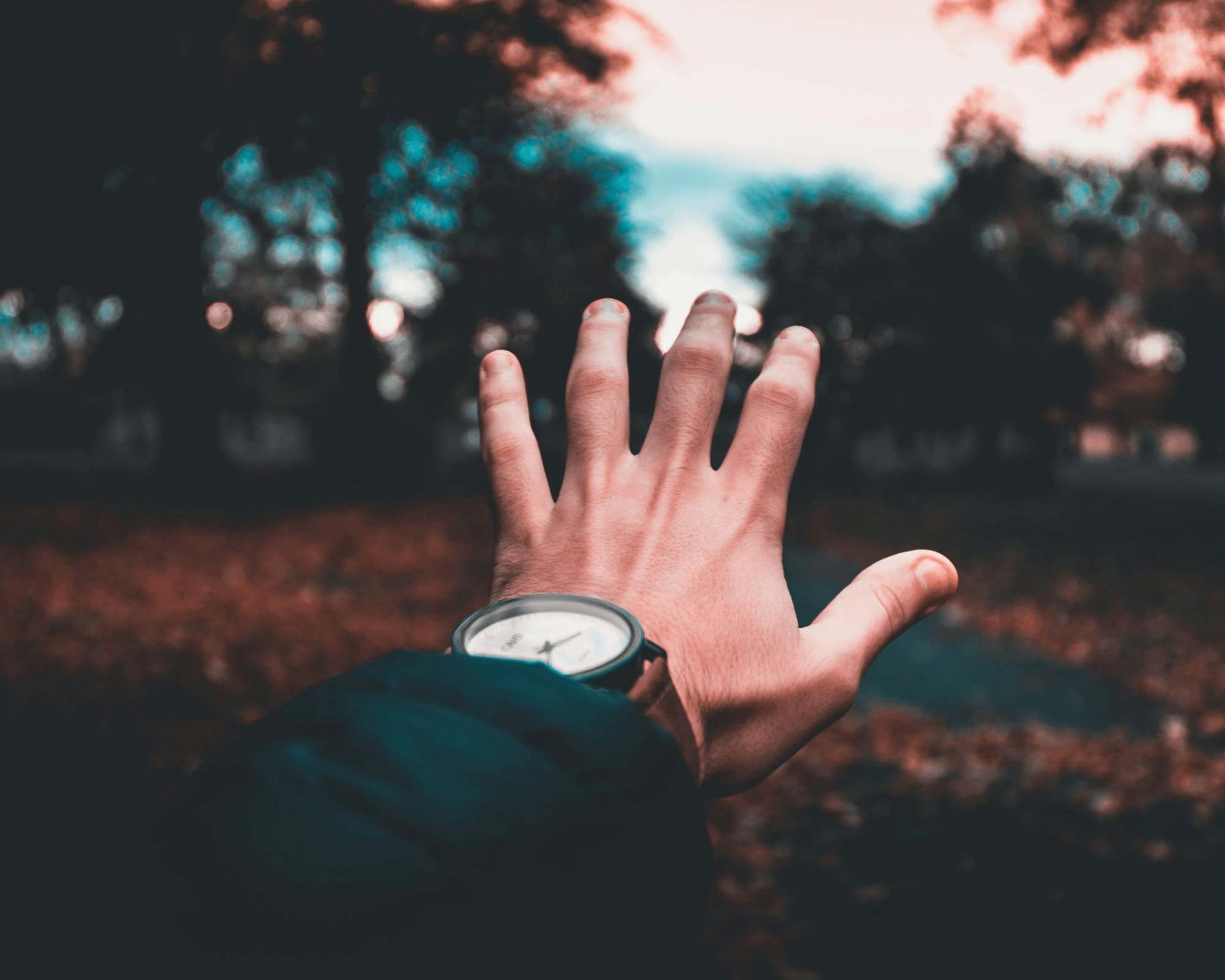 Video Optimization & Observability ECDN Platform - Kollective Technology